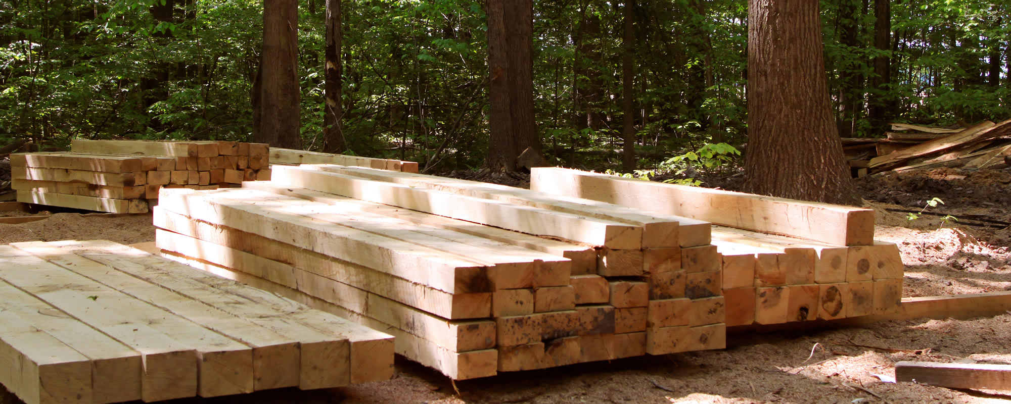 Custom Milling | Silverback Treeworks Ltd.