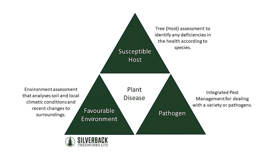 Plant Health Care Silverback Treeworks Ltd Plant Health Care Silverback Treeworks Ltd